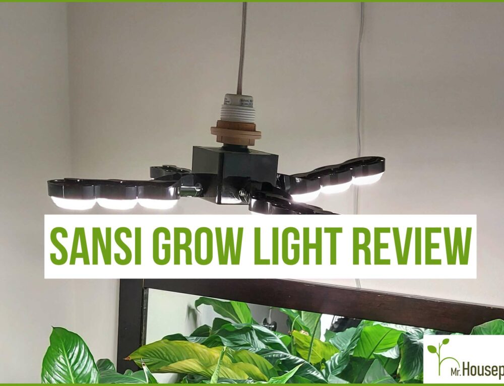 Haus Bright Grow Light Review 2023 (To BUY Or Not?) - Mr.Houseplant